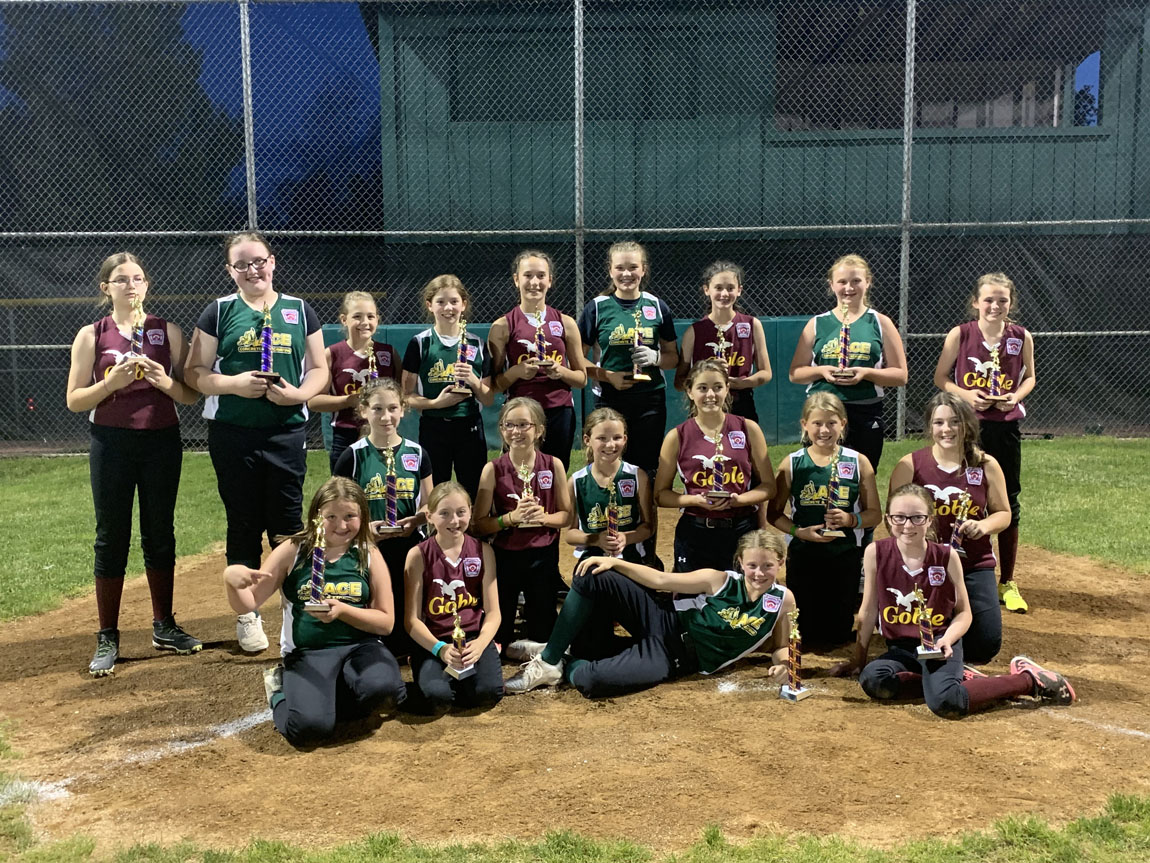 Ace Concrete & Excavating Wins Clarion Little League Softball ...