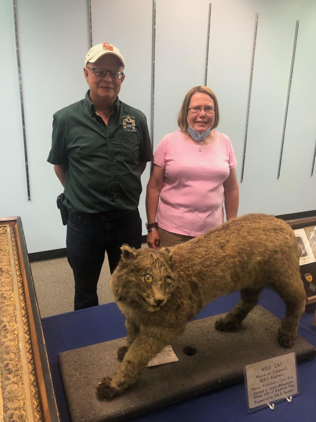 Central Clarion Wildcats Football Team Reveals Logo (07/08/20 ...