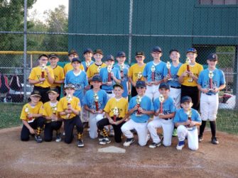 Clarion Little League Baseball And Softball 2021 Registration Available ...