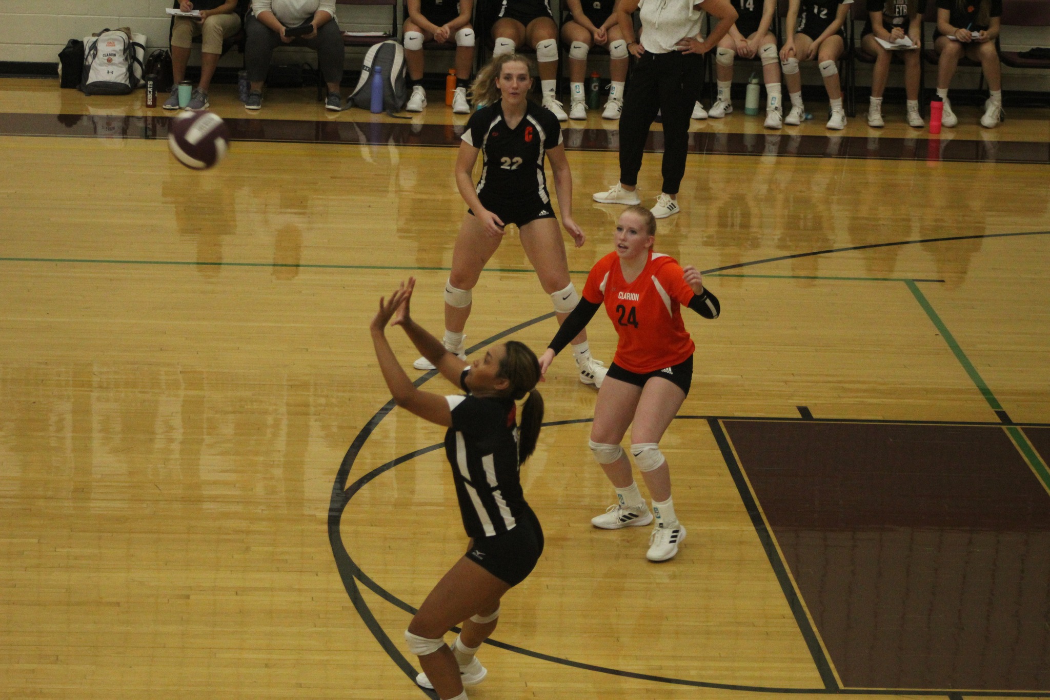 Clarion Area Bobcat Aryana Girvan Named To 2022 Pennsylvania Volleyball ...