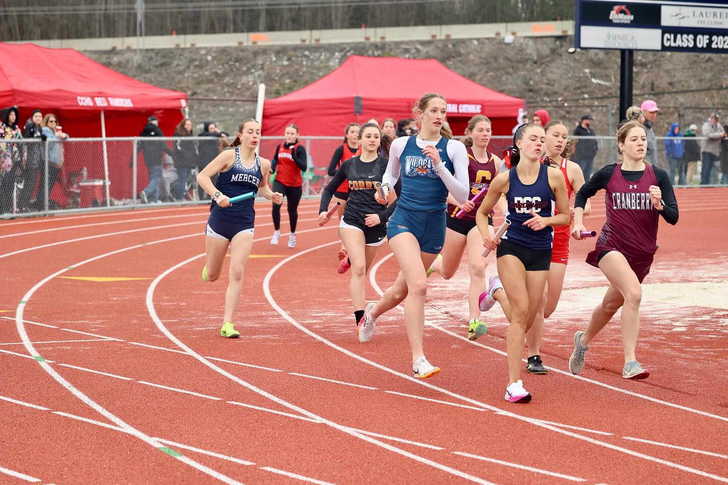 Wildcat Track And Field Team Has Good Day At DeMans Team Sports ...