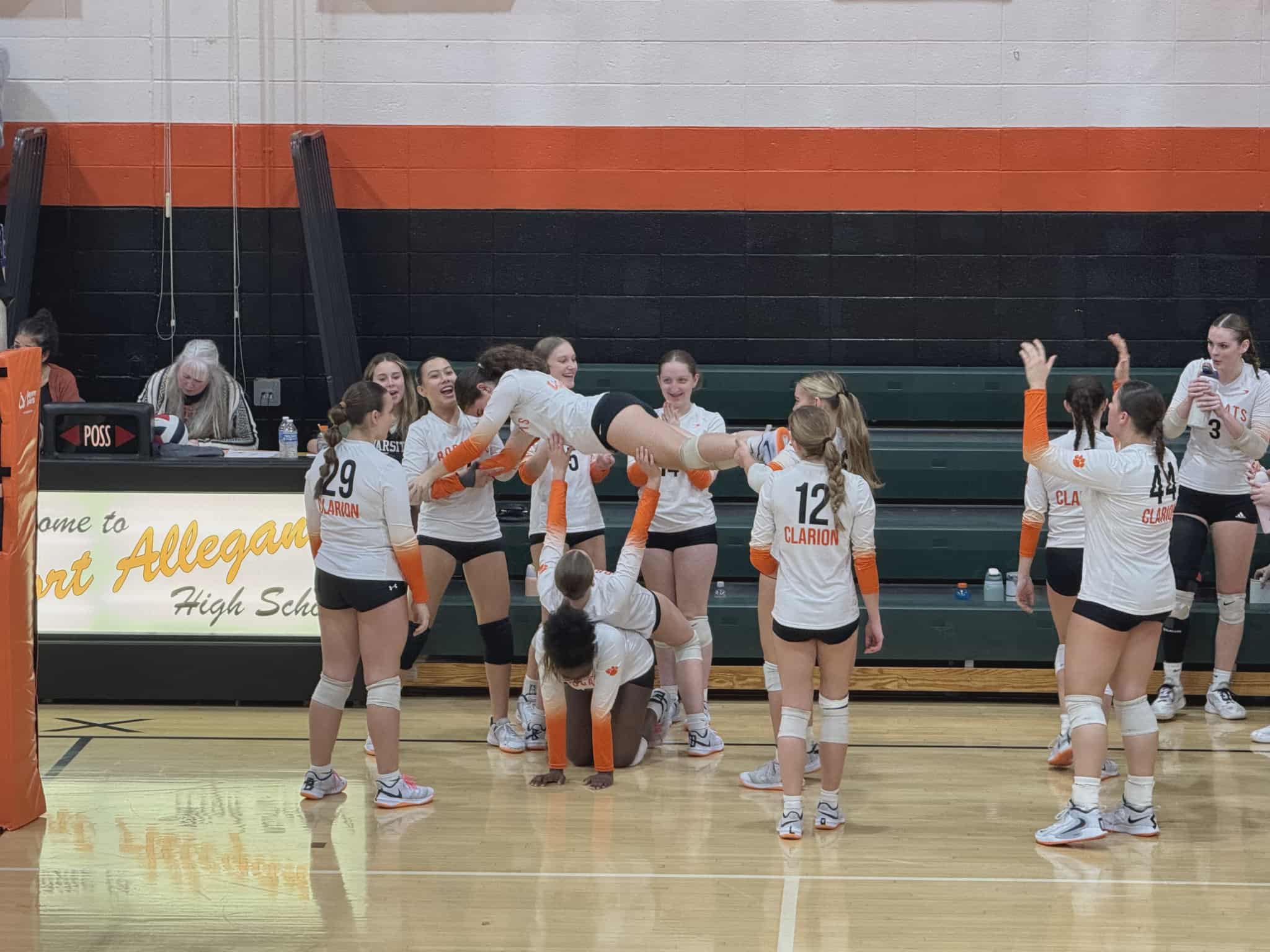 Bobcats Down Gators In D9 1A Volleyball Semis | Clarion Sports Zone